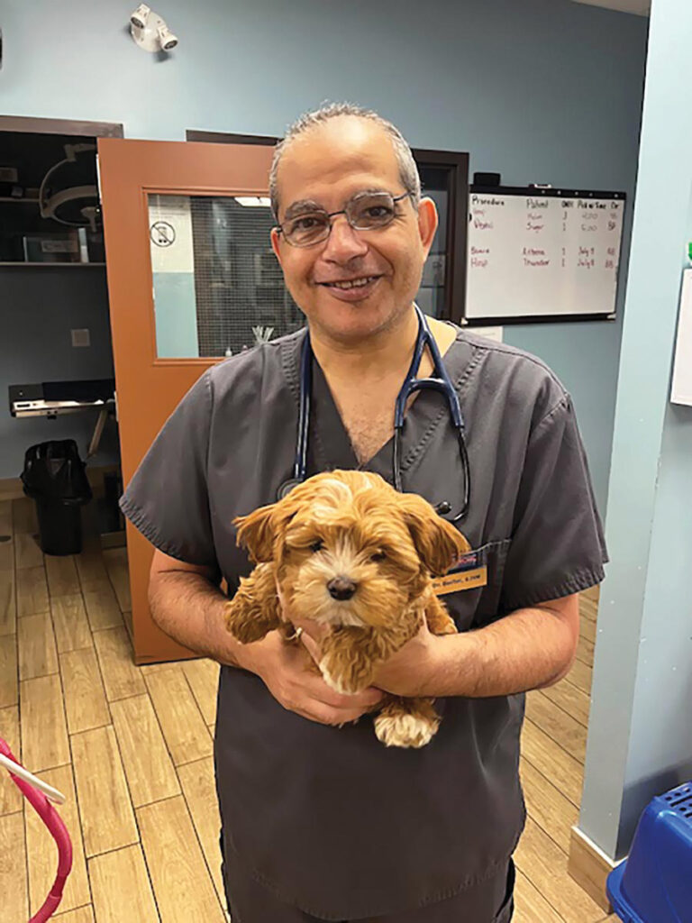 Dr. Boctor, B. - Tampa Style Magazine